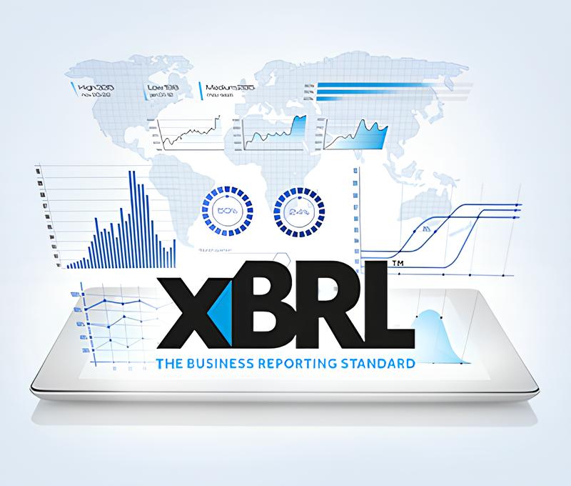 Financial reporting in XBRL format: basic rules and requirements - Prof ...